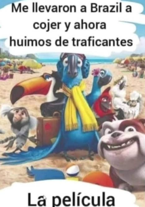 Top memes de rio en español :) Memedroid