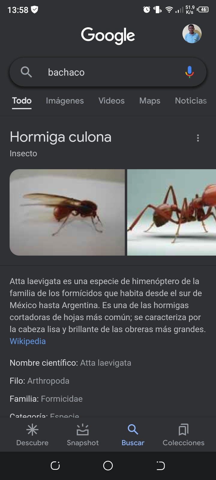 Yo solo busqué Bachaco, busquenlo y lo sabrán - Meme subido por riucwi ...