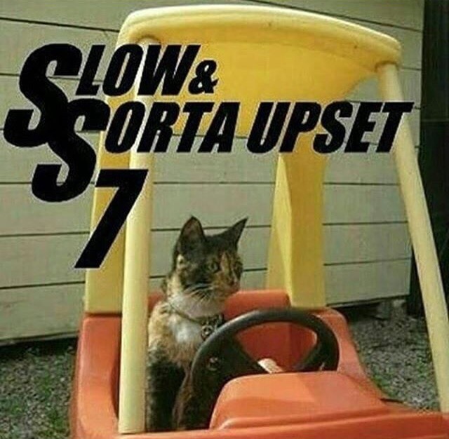 Spoiler alert: Nobody dies - Meme subido por jhcdss5 :) Memedroid