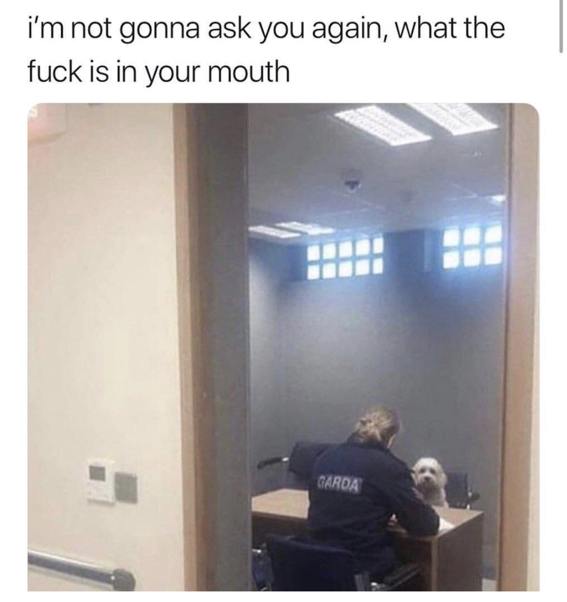 Don't lie to me - Meme subido por P... :) Memedroid