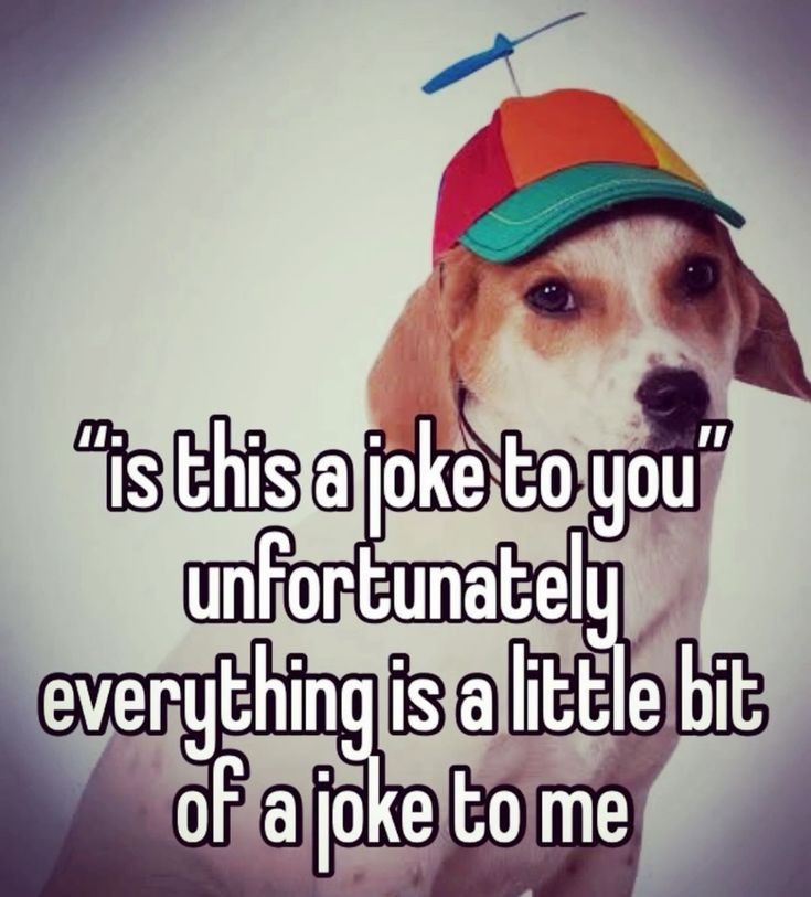 The best Joke memes :) Memedroid