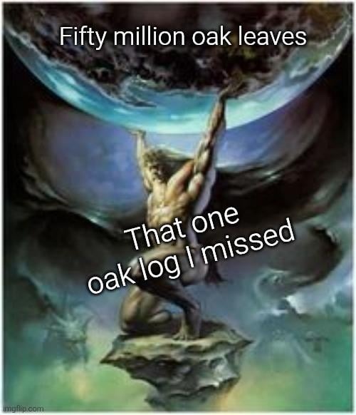 The best Trees memes :) Memedroid