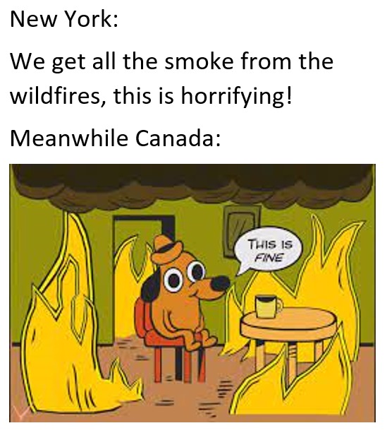 Memes Quebec The International Student
