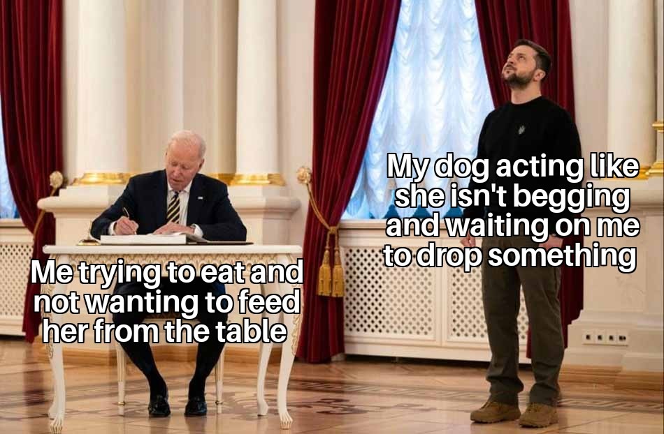 Trying to teach her table manners - Meme by Jacob2020 :) Memedroid