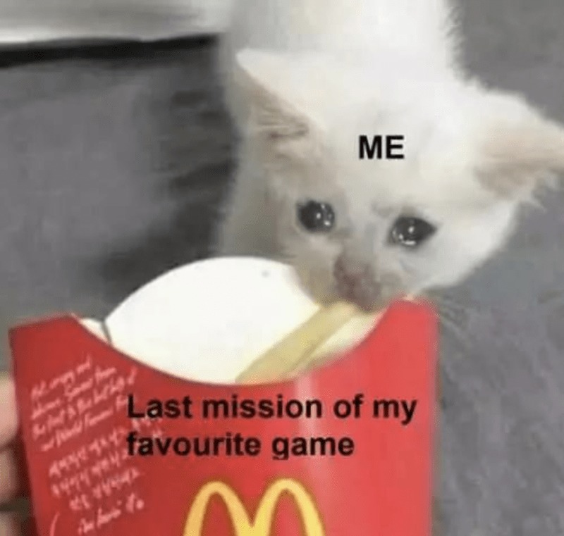 Gamer saying goodbye to a great videogame - Meme subido por Zeio44 ...