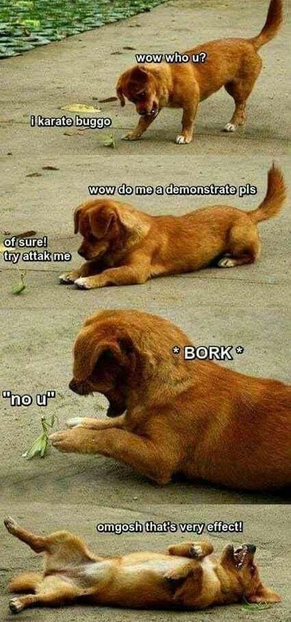 Buggo vs good boi - Meme by Bootyhunter. :) Memedroid