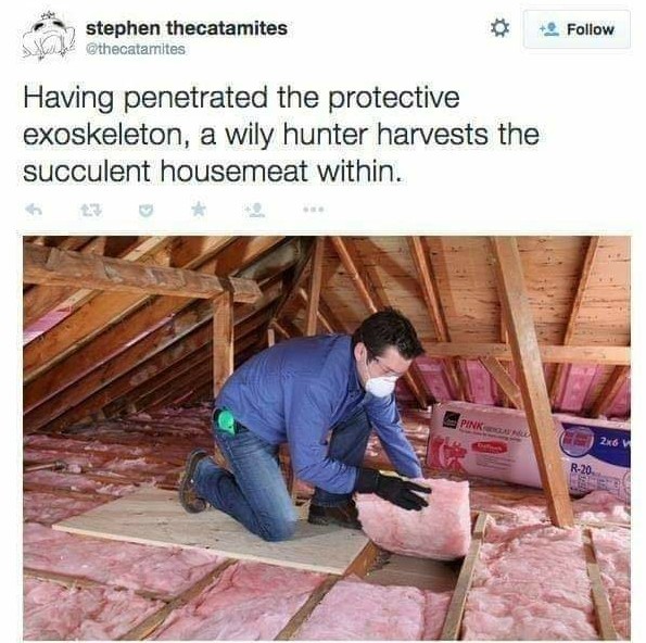 Ayyyeee, house meat - Meme by audilover23 :) Memedroid