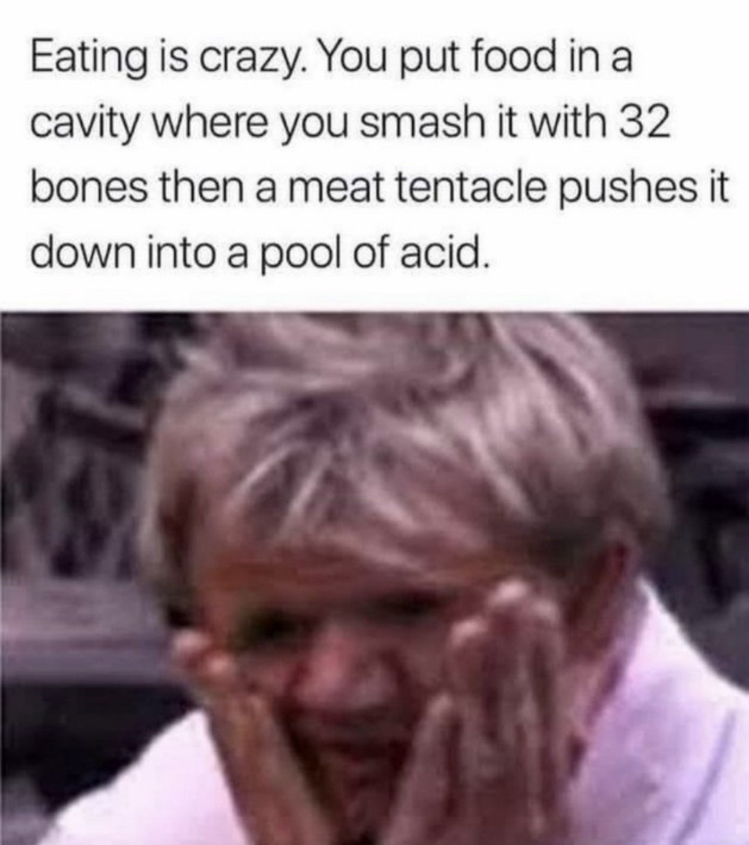 The best Food memes :) Memedroid