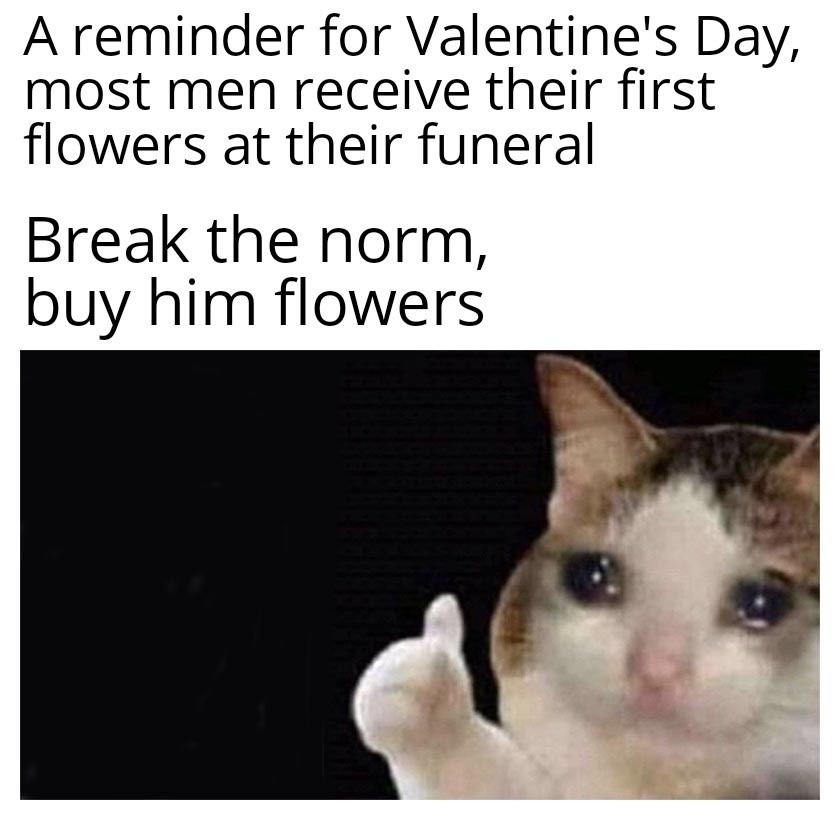 The best February memes :) Memedroid
