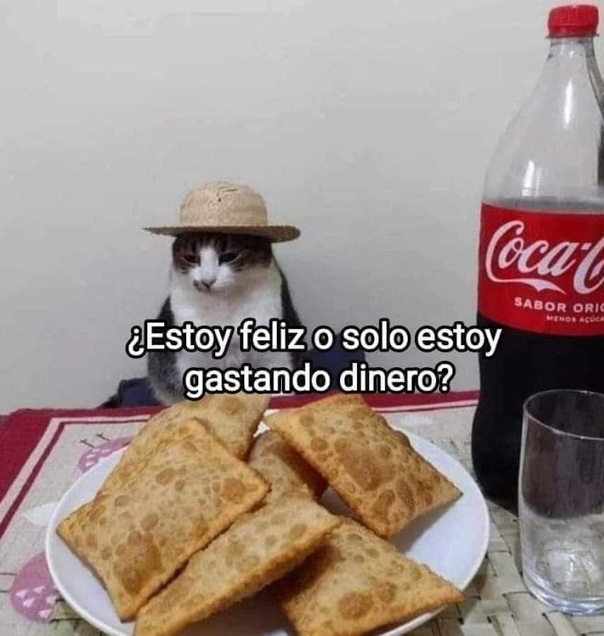 Top Memes de Gatos en Español – Memedroid