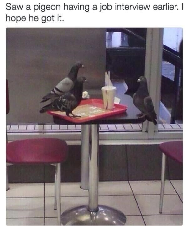 Memedroid - The best site to see, rate and share memes, gifs and funny ...