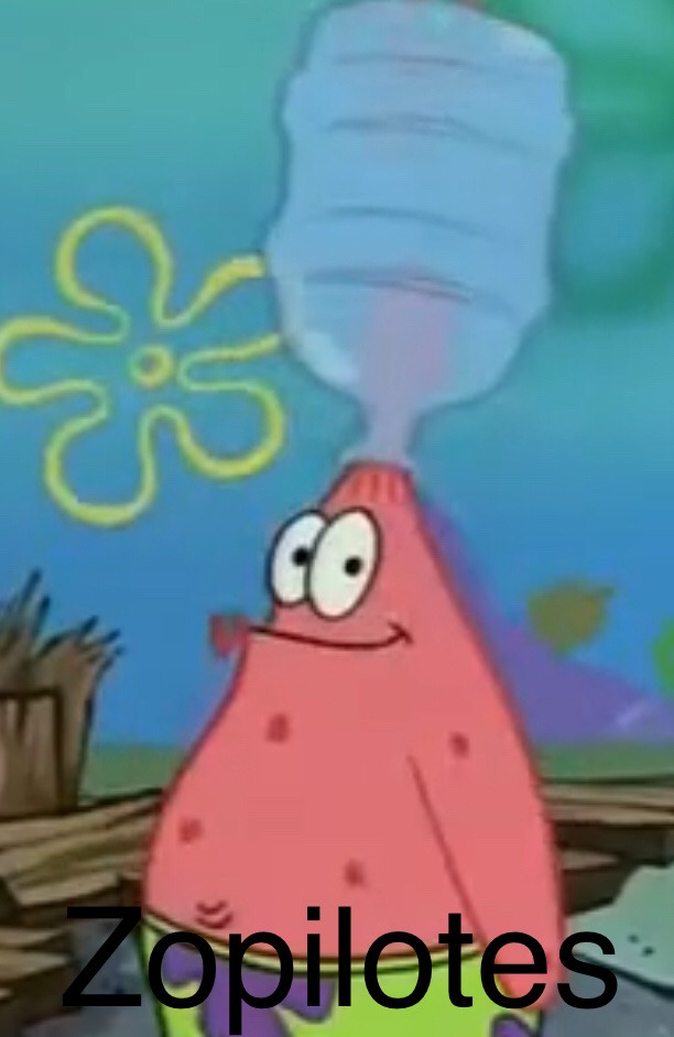 Top memes de Patricio en español :) Memedroid