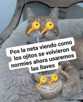 Top memes de Normies en español :) Memedroid