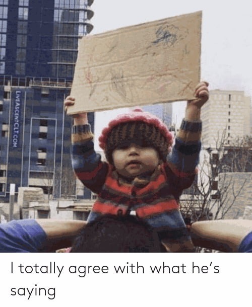 I Totally Agree Meme