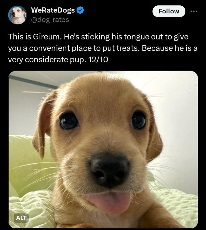 The Latest Memes :) Memedroid