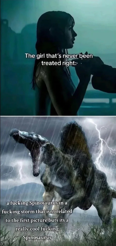 The best Spinosaurus memes :) Memedroid