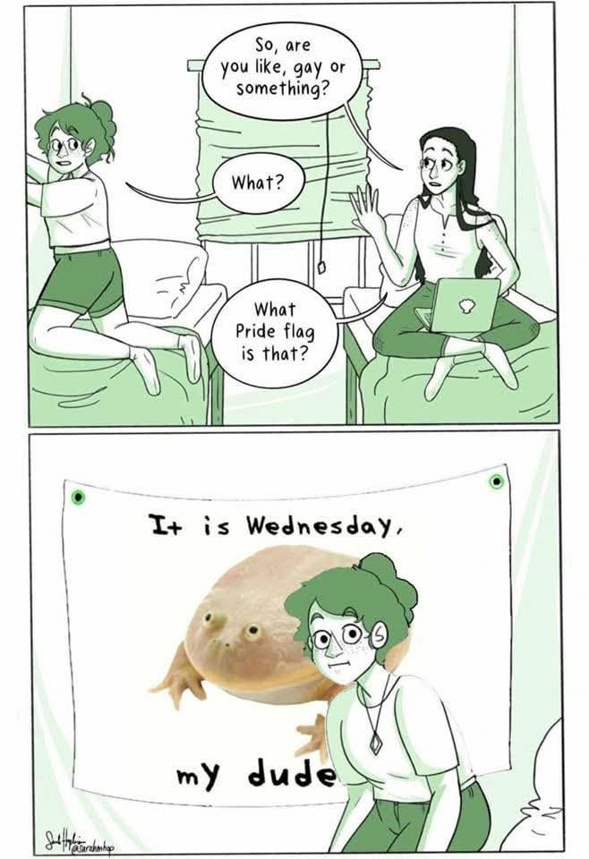 The Best Wednesday Memes :) Memedroid