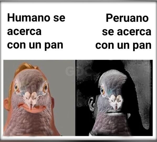 Top memes de Palomas en español :) Memedroid