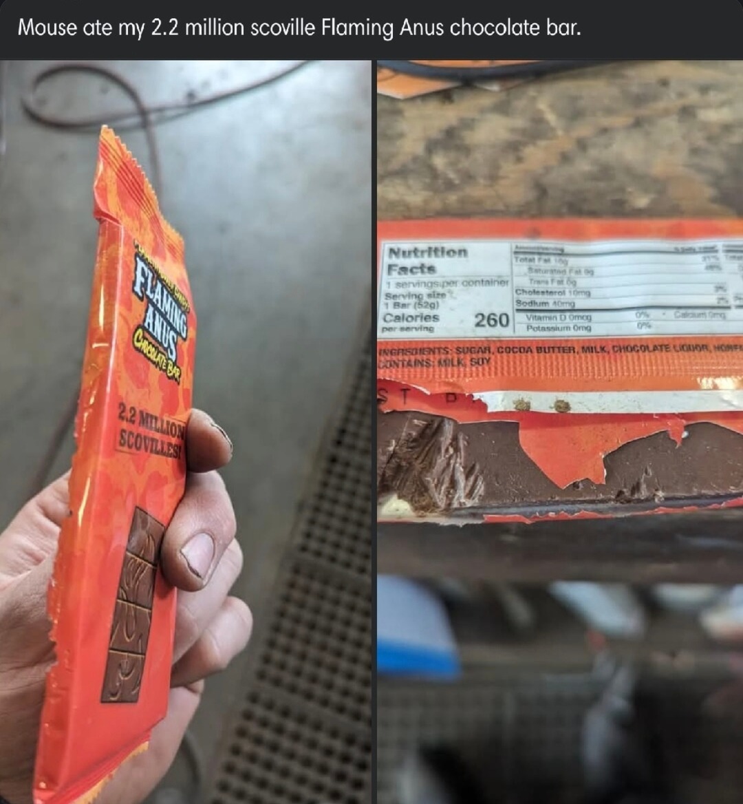 The best Mouse memes :) Memedroid