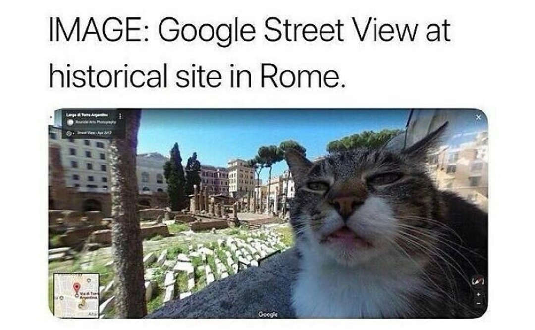 The best Google memes :) Memedroid