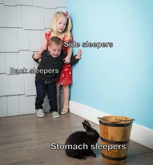 sleep modes - Meme by AloneKaven :) Memedroid