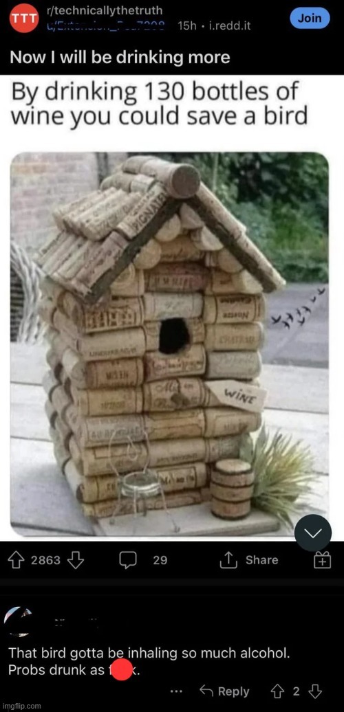 Cursed bird house - Meme by KMAT97 :) Memedroid