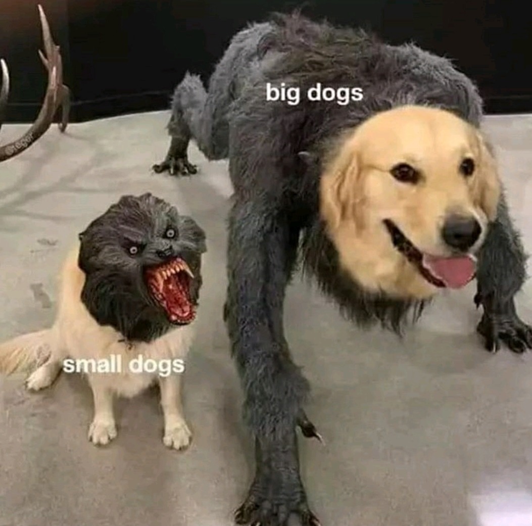 fax. - Meme subido por Elle1906 :) Memedroid