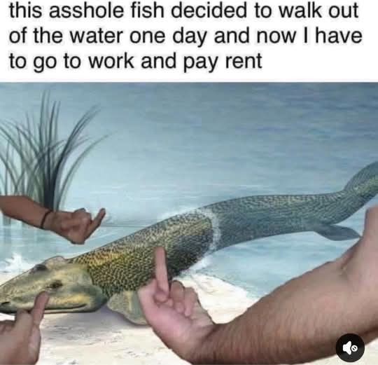 The best Evolution memes :) Memedroid