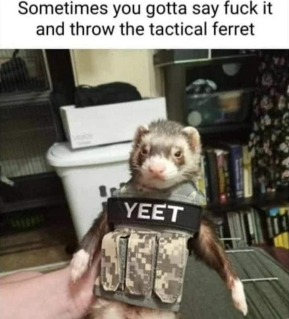 The best memes of the day :) Memedroid