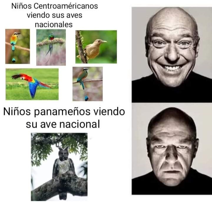 Cy - Meme subido por No_lo_se :) Memedroid