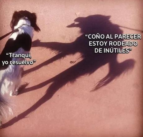 Top memes de Oficina en español :) Memedroid