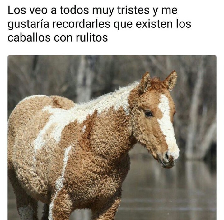 nadie se habia preocupado tanto por mi - Meme subido por Nicofahuer ...