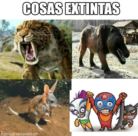 Extraño esa caricatura (mucha lucha) - Meme subido por Wej :) Memedroid
