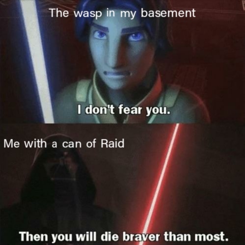 raid - Meme by Lightning-Wyvern :) Memedroid