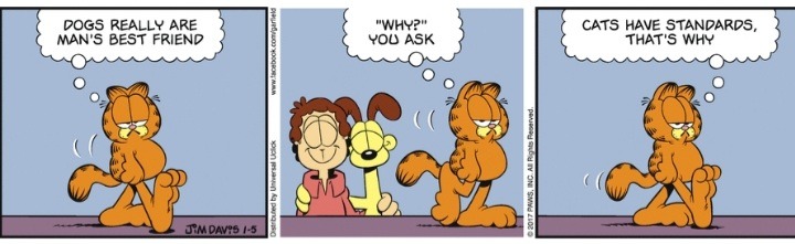The best Garfield memes :) Memedroid