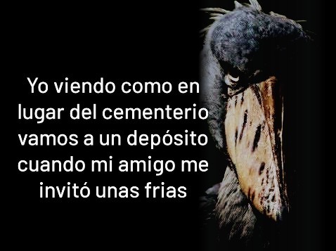 Meme carajo - Meme by El_femboy_satanico :) Memedroid