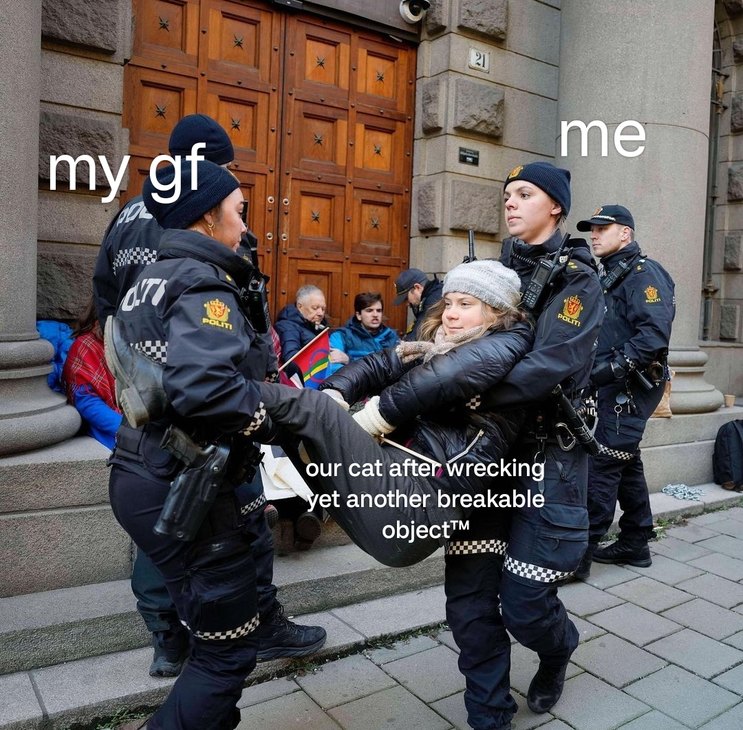 Cat meme - Meme by Ilewww :) Memedroid