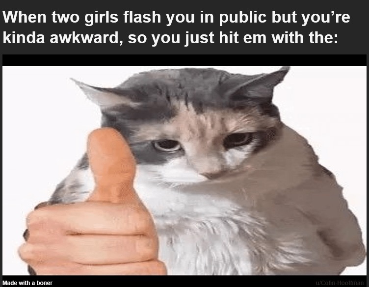 Funny Thumbs Up Pics HD Crying Cat Thumbs Up Meme DIGITAL POSTER