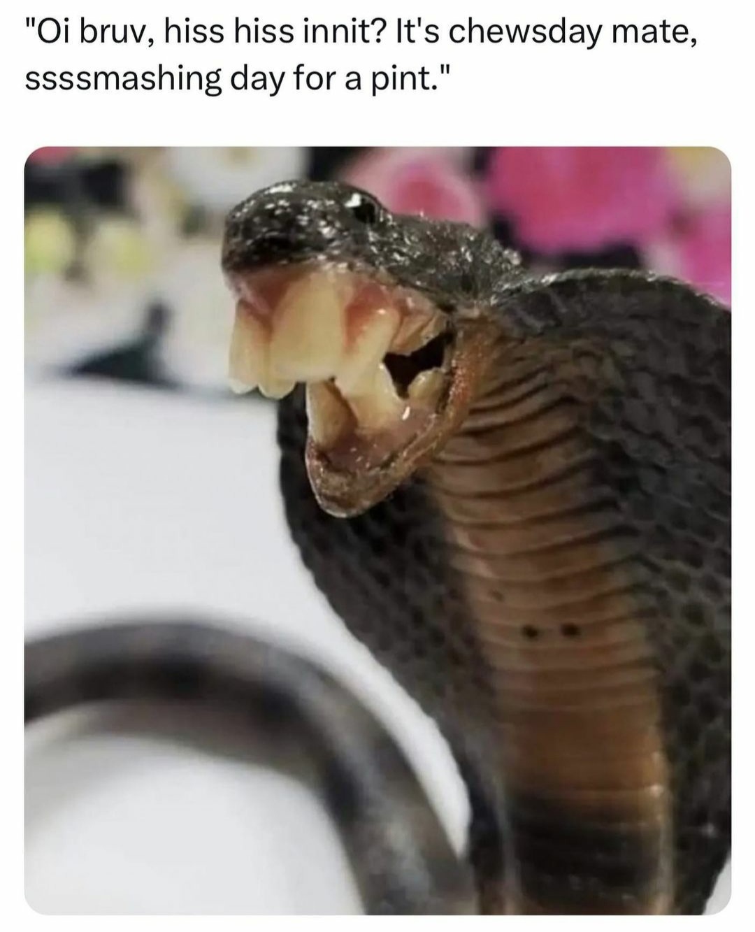 Das rite - Meme by MarKenobi :) Memedroid