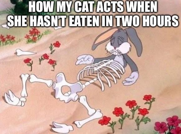 Latest memes / New memes :) Memedroid