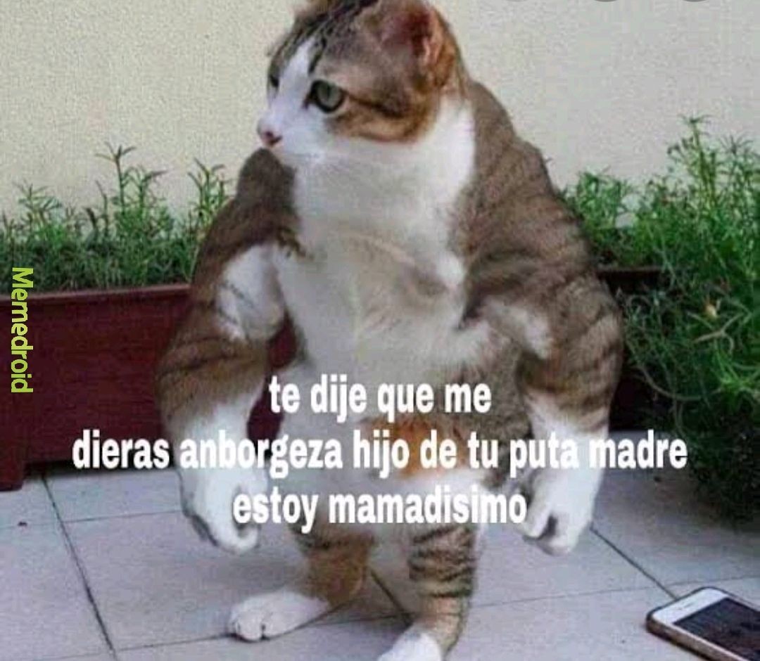 Eooo - Meme subido por Guselfiresitox :) Memedroid