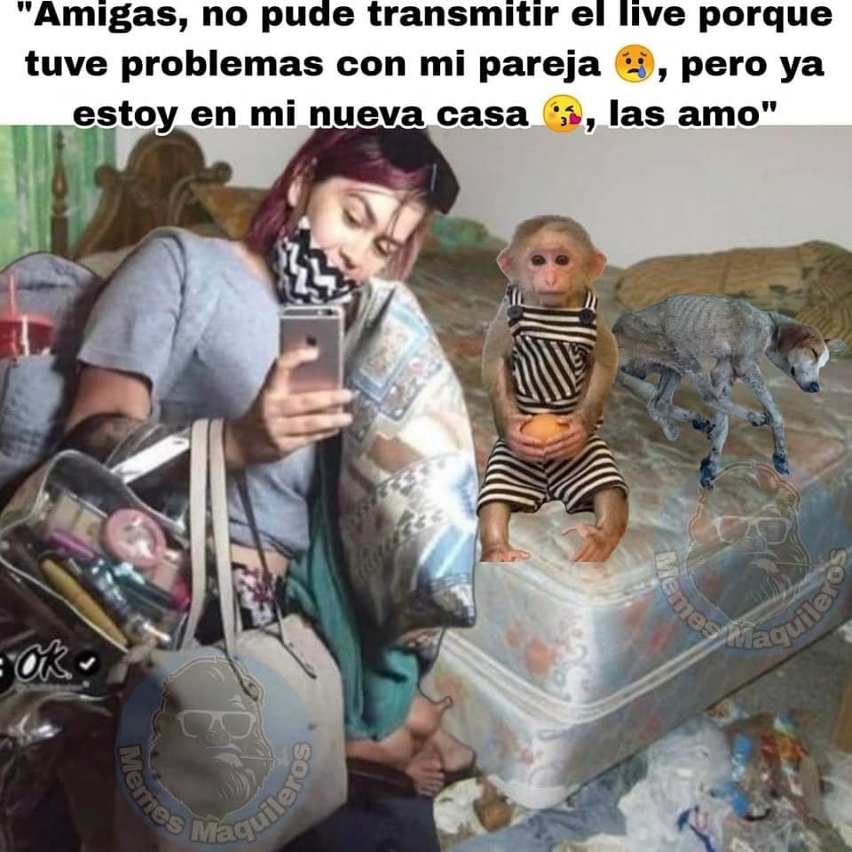 Últimos memes :) Memedroid