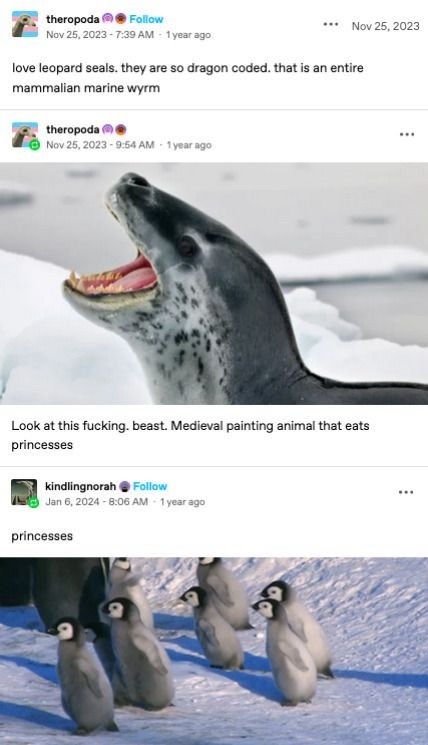 The best Seal memes :) Memedroid