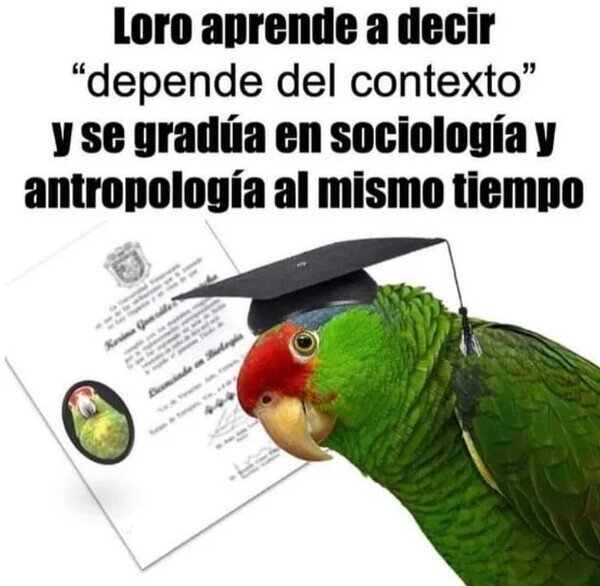 Si un loro se pudo graduar, vos también podés crack :allthethings ...