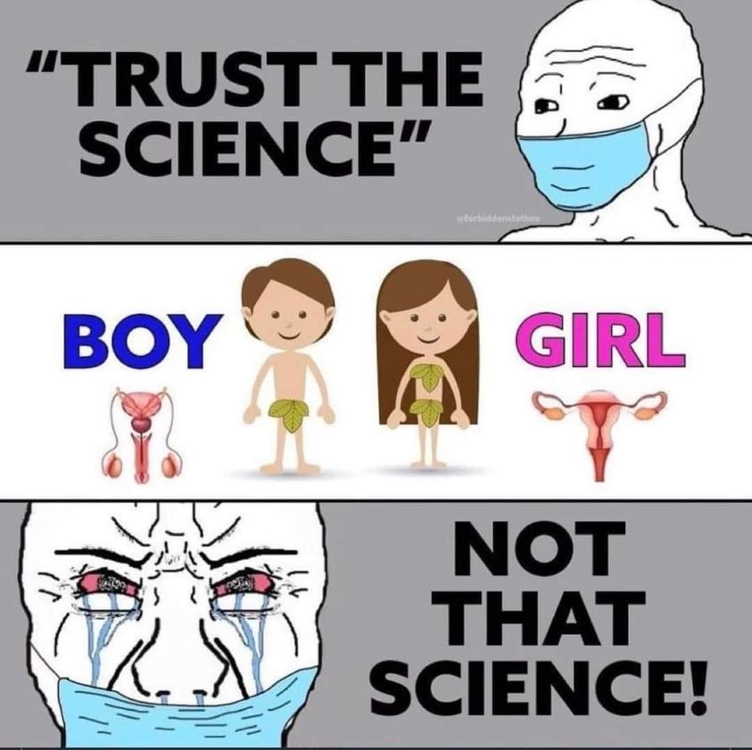 Latest memes / New memes :) Memedroid