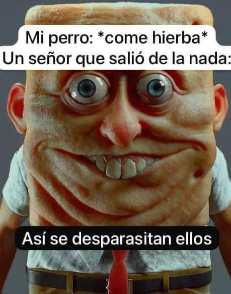 Top memes de Parasitos en español :) Memedroid