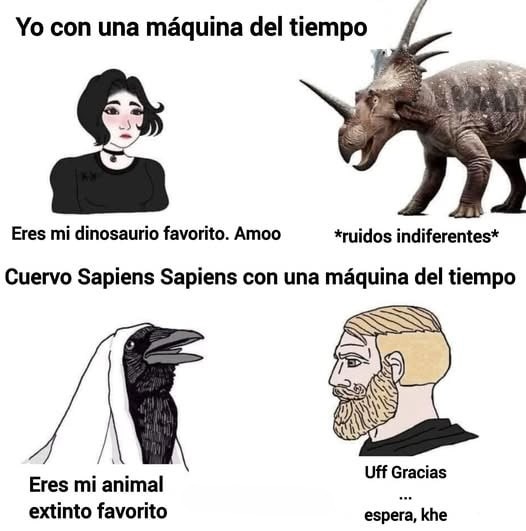 El Cuervo Memes El Cuervo Que Lo Sabe Todo : R/memes