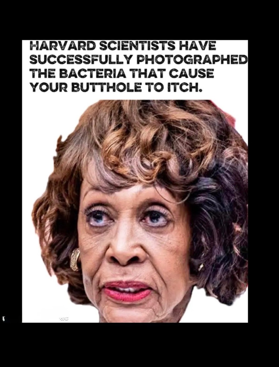 Latest memes / New memes :) Memedroid