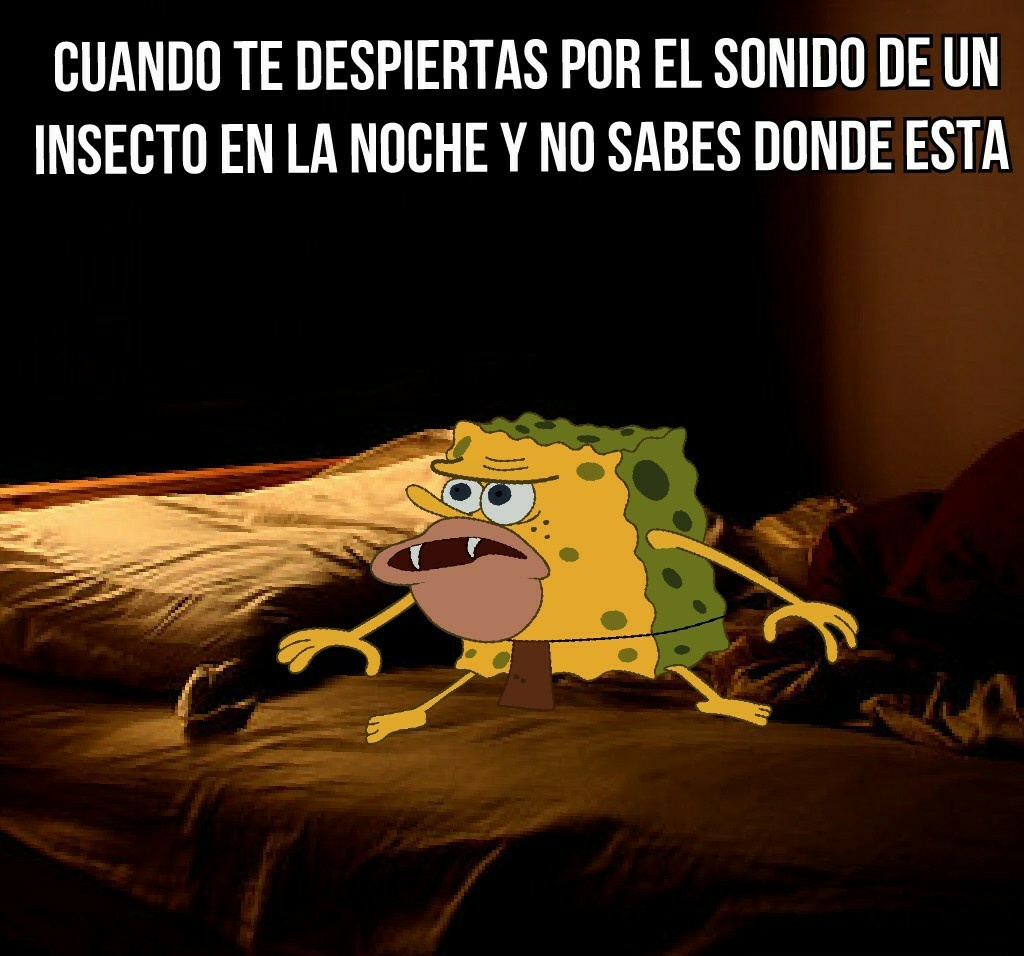 Den le like si no kieren despertarse asi :v - Meme subido por Shiro15 ...