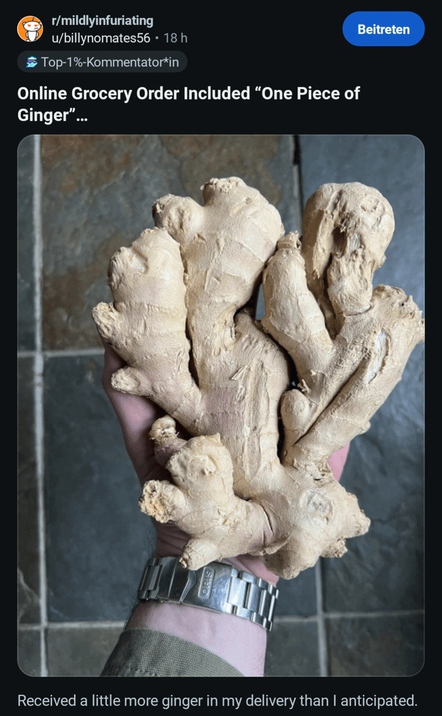 The best Ginger memes :) Memedroid